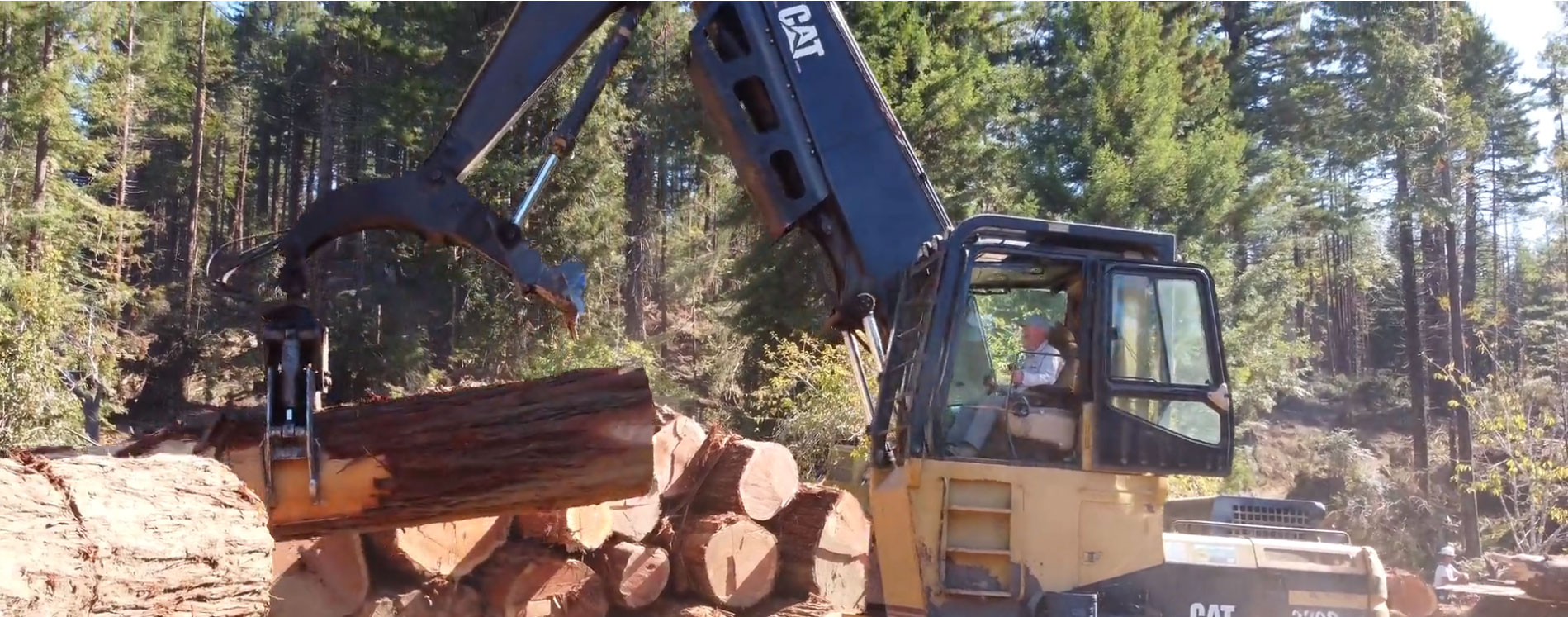 Home - A Humboldt County Logging Contractor